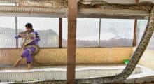 Pythons auf Ihrer Veranda? Nennen Sie Myanmars „Schlangenprinzessin“