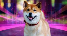 Shiba Inu, 3 Büyük Haberi Duyurdu: Ortaklık da Var!
