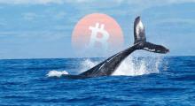 Büyük Balina Bitcoin, ETH, UNI Satıp Bu Coine Girdi!