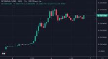 Como esta carteira cripto transformou US$ 50 mil em US$ 500 mil em um dia com a nova memecoin $SPONGE