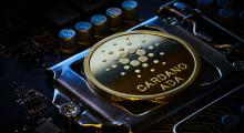 Cardano DeFi stiehlt allen die Show und übertrifft den Markt mit explosivem Transaktionswachstum