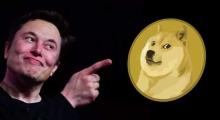 Elon Musk yatırımcıları uyarıyor: Tüm paranızı Dogecoin’e yatırmayın