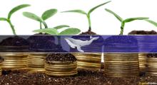 From Rags to Riches: How an Average Trader Became a Crypto Whale in Just 5 Months