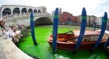 Der Canal Grande in Venedig färbt sich phosphoreszierend grün