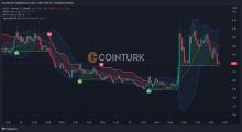 Binance Borsasındaki Altcoinin CEO’su Kayıp! Fiyat Düşüşe Geçti!