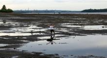 Die Stadt am Flussufer in der Ukraine hinterließ Schlamm und Erinnerungen