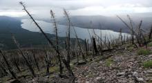 In Montana beginnt der bahnbrechende Jugend-Klimaprozess