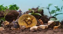 Minerador individual de Bitcoin resolve bloco “na sorte” e fatura R$ 800 mil