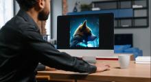 AiDoge: Entendendo a memecoin que conquistou o mundo das criptomoedas