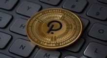 Leilão de parachain da Polkadot não consegue suportar DOT, a pré-venda do DigiToads (TOADS) arrecada mais de US$ 4,8 milhões