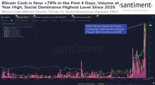 Santiment’ten Kritik Rapor: Ethereum ve Bu Altcoinde Son Durum!