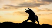 Bitcoin Cash (BCH) steigt um 55 % nach dem ETF-Antrag von BlackRock und dem Start von EDX Markets