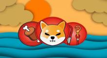Shiba Inu (SHIB) Geliştiricisinden Yatırımcılara Müjde! Yenilikler Hazır!