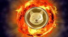 Hier erfahren Sie, warum Shiba-Inu-Verbrennungen keinen Einfluss auf den SHIB-Preis haben