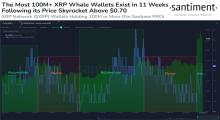 Ripple’ın zaferiyle XRP balinaları 100 milyon token topladı!