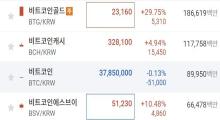 대장은 떨어지는데… ‘비트코인 3형제’는 폭등 행진