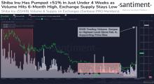 25x Diyen Bile Var! İşte SHIB, ADA, XRP ve ARB Tahminleri!