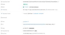 Türklerin Bolca Aldığı Altcoin Şoke Etti: Coinler Yok Edildi!