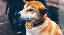 Shiba Inu: Shibarium Layer-2 ve Yeni Projelerle Ekosistemi Genişletiyor