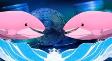 Bitcoin: interesse das ‘baleias’ atinge máxima de 15 meses; vai subir?