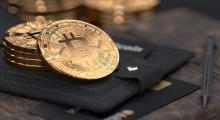 Confira as carteiras de criptomoedas mais populares do mercado