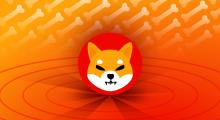 Shiba Inu (SHIB) sinkt nach der Einführung von Shibarium um 7 %