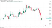 Dev Balina Onmilyonluk DOGE Satın Aldı! Neler Oluyor?