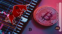 Kripto Para Piyasasında Boğa Sezonunun Belirtileri: Piyasa Değerlendirmesi ve Trend Analizi