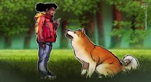 Nueva ley en Perú sobre mascotas impulsa la tokenización de los animales de compañía, según experto