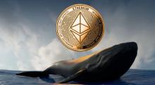 Boğa Sezonu Yaklaşırken Portföyünüzde Olması Gereken 6 Altcoin