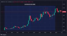As BTC Price Dips Meme Coin Shiba V Pepe (SHEPE) Explodes – Whales Buying These New Cryptocurrencies With ‘Vs’ Meta Trend