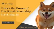 Três tokens para disparar 30x em 2023; Shiba Inu (SHIB), Cardano (ADA) e Everlodge (ELDG)