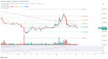 Shiba Inu Dev Unveils Major Shibarium Upgrades Amidst SHIB Retracement