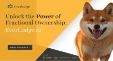 Dilema criptográfico: escolhendo entre EverLodge e Shiba Inu