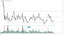 Usta Analist: Bu Altcoin Uçacak, Bu İkisi İse Çökecek!