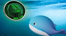À medida que o hype do PEPE desaparece, o interesse em QUBE e IMX cresce