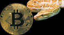 Dono de site bitcoin.org é condenado a pagar R$ 3 milhões em processo