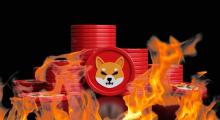 Ralli Kapıda! Shiba Inu İçin Bu Gelişmeye Dikkat