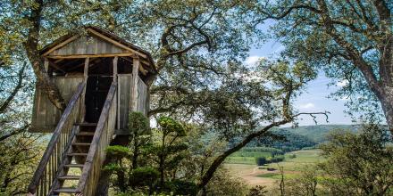 Baumhaus bauen: Ein Leitfaden – Natur.wiki