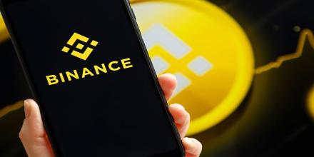 BNB e Cardano avançam, enquanto Borroe.Finance dispara com mais de 90 milhões de tokens vendidos até o momento