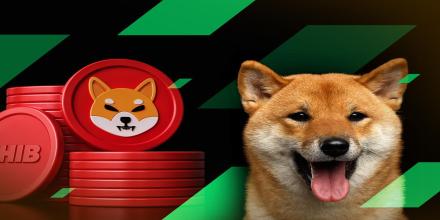Shiba Inu Geliştiricisi Açıklama Yaptı! Devasa SHIB Harekete Geçti