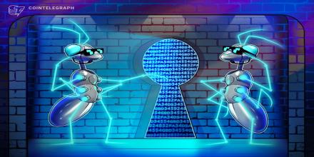 Blockaid, socio de seguridad de MetaMask, obtiene una financiación de USD 33 millones