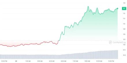 Balinalar, Agresifçe Bu 2 Altcoin’i Alıyor: Fiyat Uçtu!