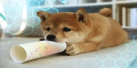 Será que o Dogecoin (DOGE) pode continuar sua tendência de crescimento? O formador de mercado compartilhou sua previsão de preço