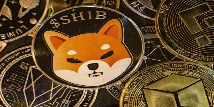 Das Selbstauthentifizierungssystem von Shiba Inu weist technische Probleme auf, verrät der Entwickler