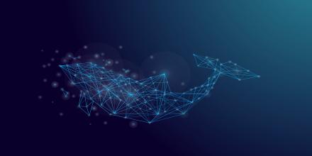 Balina Bir Haftada Binance’den 7 Altcoin Çekti: 15 Milyon Dolarlık Alım!