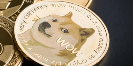 Криптокошелек с токенами DOGE полетит на Луну