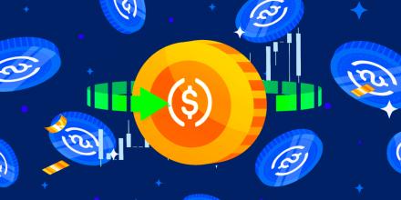 BIS Raporu Endişeleri Artırdı! Bu Altcoin’ler İçin Gelecek Belirsiz mi?