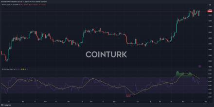Ünlü İsim Kripto Paraları Lanetledi Mi? Bitcoin Yükselecek Dedi Ama O Ne Derse Tersi Oluyor!