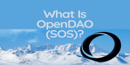 SOS Coin Nedir? SOS/USD Yorum ve Geleceği